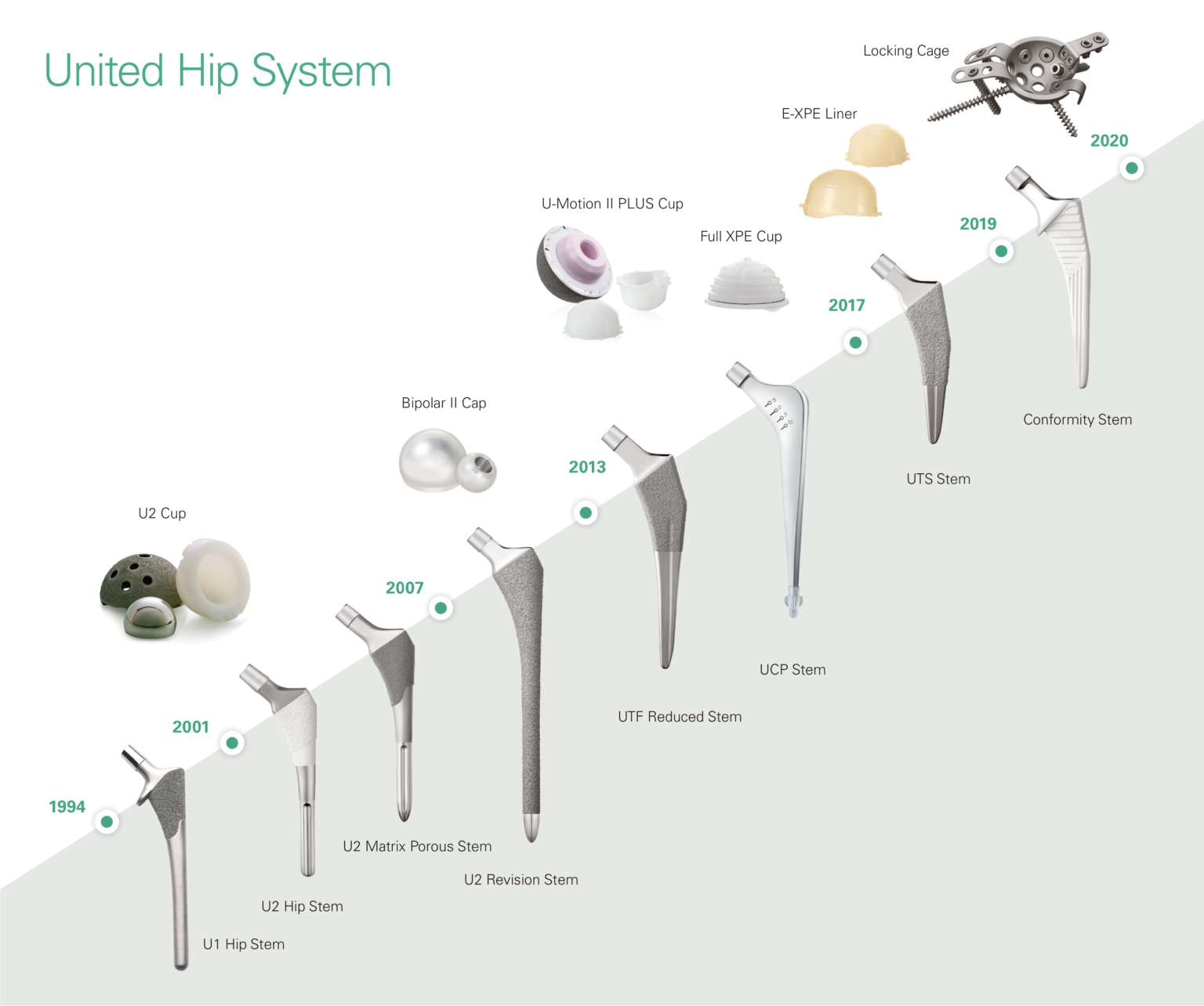 Newsletter – June | USA United Orthopedic Corporation | Hip and Knee ...